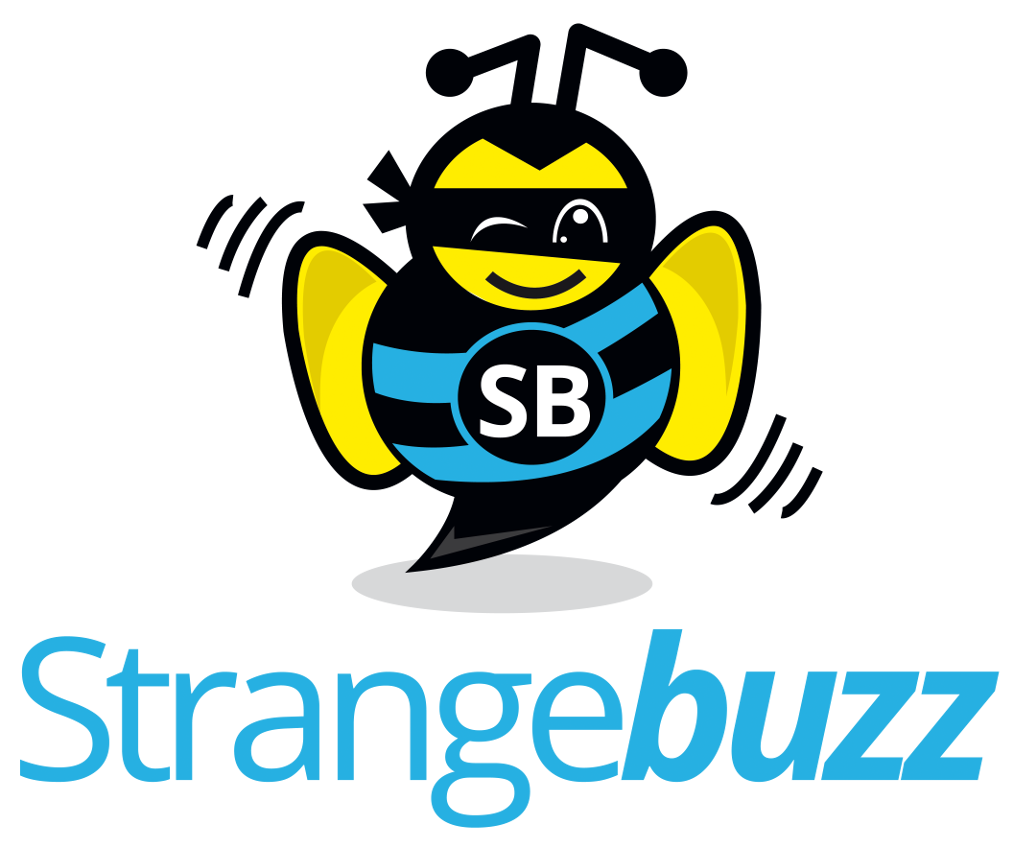 Expert freelance PHP / Symfony / JavaScript / Vue.js| Strangebuzz